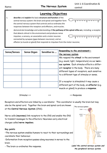Ccea Gcse Biology Unit 1 Notes Teaching Resources