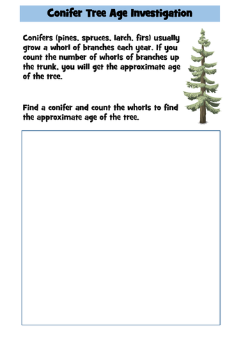 Maths Investigations: Year 6 - White Rose Maths | Teaching Resources
