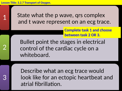 Transport in Animals 3.2 Lessons OCR Biology A Level | Teaching Resources