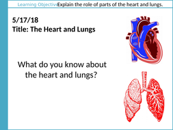 AQA GCSE: B4 Organisation: L1 The Heart and Lungs | Teaching Resources