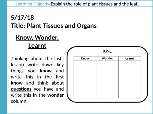 AQA GCSE: B4 Organisation: L4 Plant Tissues | Teaching Resources
