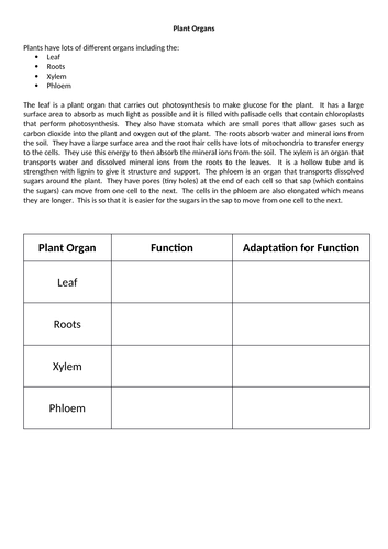AQA GCSE: B4 Organisation: L5 Plant Organs | Teaching Resources