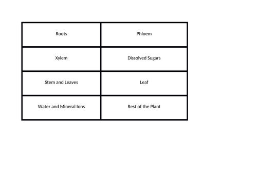 AQA GCSE: B4 Organisation: L5 Plant Organs | Teaching Resources