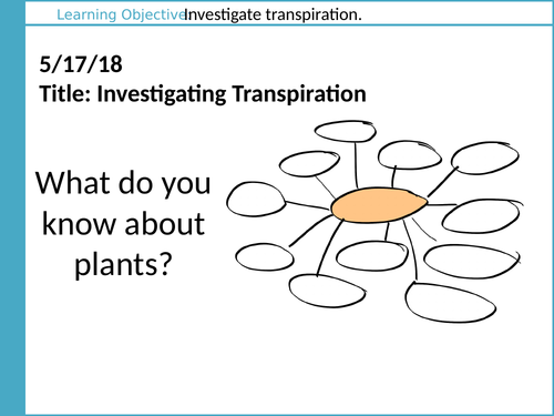 AQA GCSE: B4 Organisation: L6 Investigating Transpiration | Teaching ...