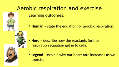 NEW AQA (8461) Aerobic Respiration and Exercise Lesson | Teaching Resources