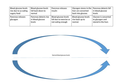 AQA Biology B5 Blood glucose negative feedback worksheet | Teaching ...