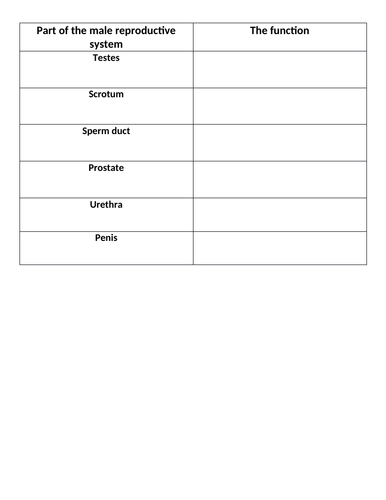 GCSE Biology: Male Reproductive System (lesson 1) | Teaching Resources