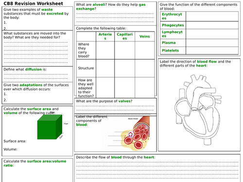 Edexcel Combined Science Biology Revision Worksheets | Teaching Resources