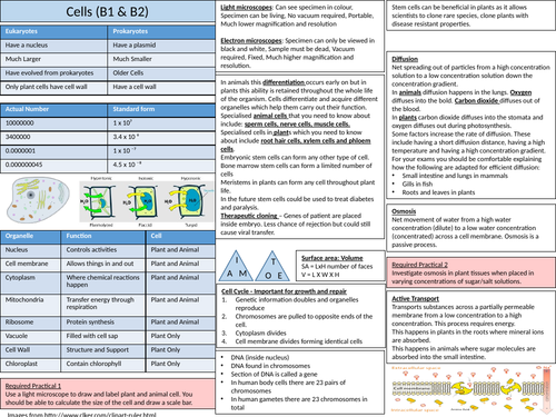 Biology Trilogy Cells Revision Pack | Teaching Resources