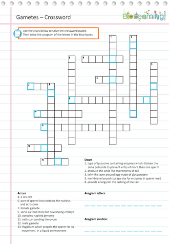 SNAB Biology Topic 3 - Lesson 06 (Gametes) - WS, PPT and Crossword ...