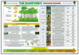 Rainforests KS2 Knowledge Organiser! by TandLGuru | Teaching Resources