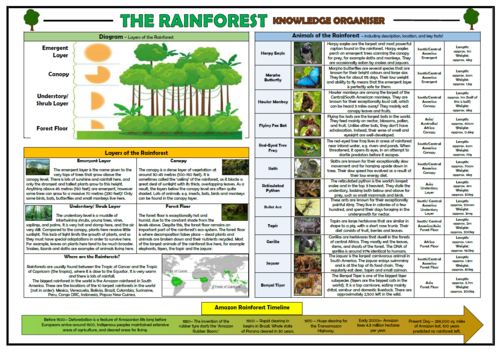 Rainforests KS2 Knowledge Organiser! | Teaching Resources