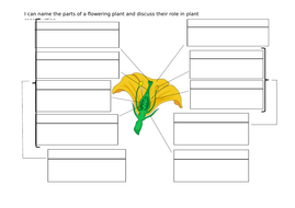 KS2 Differentiated parts of a flower pollination/reproduction worksheet ...