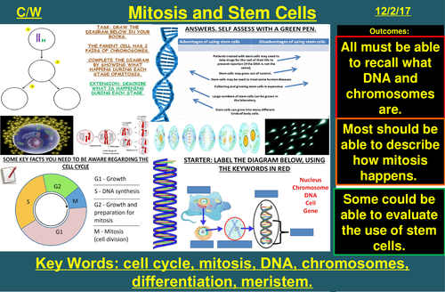 Mitosis, Cell Cycle, Stem Cells, Chromosomes | AQA B1 4.1 | New Spec 9 ...