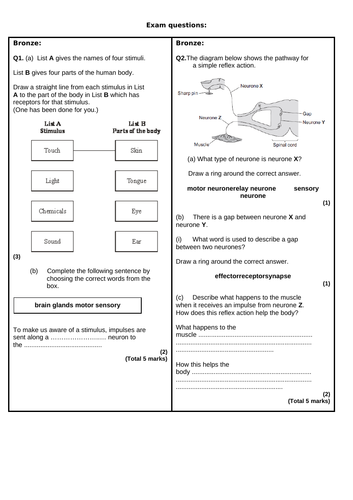 AQA Biology 1-9 Paper 2 required practical Topics | Teaching Resources