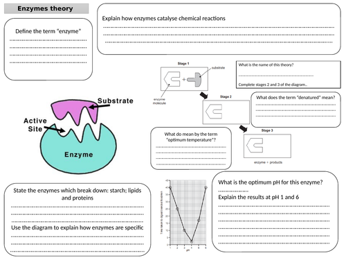 Edexcel IGCSE Biology 9-1 Revision Mat (covering enzymes + practicals ...