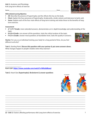 IGCSE PE (spec 2018) 4.4. Long-term effects of exercise | Teaching ...