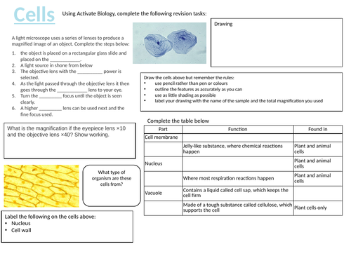 KS3 CELLS AND DIFFUSION REVISION ACTIVITY | Teaching Resources