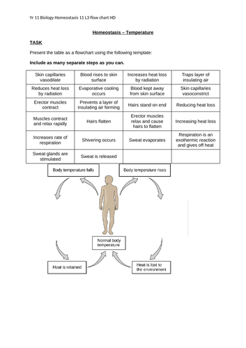 SoW AQA 9-1 Triple Biology Homeostasis | Teaching Resources