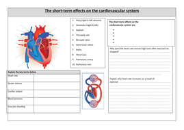 Edexcel GCSE PE - The short term effects of exercise | Teaching Resources