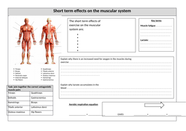Edexcel GCSE PE - The short term effects of exercise | Teaching Resources