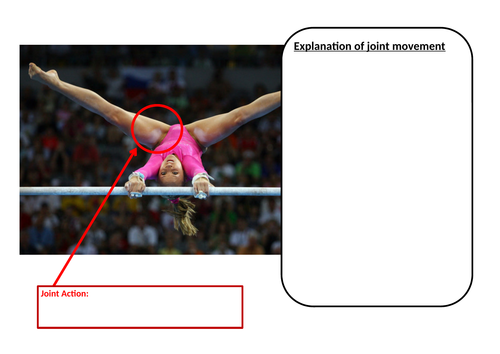 Joints | Teaching Resources