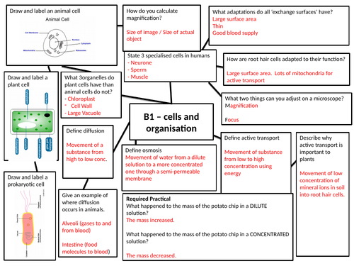 AQA Biology/Trilogy Paper 1 Complete Revision Mats with ANSWERS (New ... AQA Biology/Trilogy Paper 1 Complete Revision Mats with ANSWERS (New ...
