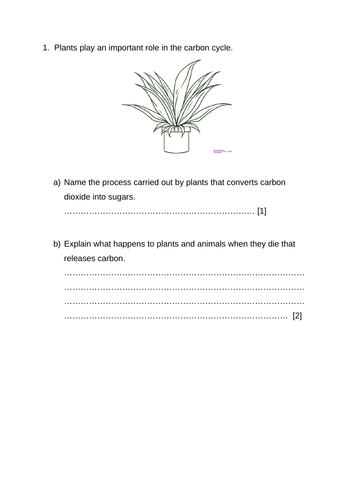 AQA Trilogy Biology 2 Carbon Cycle | Teaching Resources