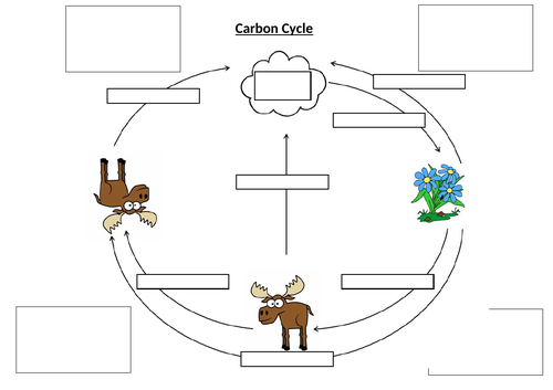 AQA Trilogy Biology 2 Carbon Cycle | Teaching Resources