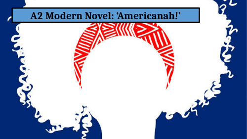 Adichie's 'Americanah!' - Lesson 7, chapters 25-30 and characterisation ...
