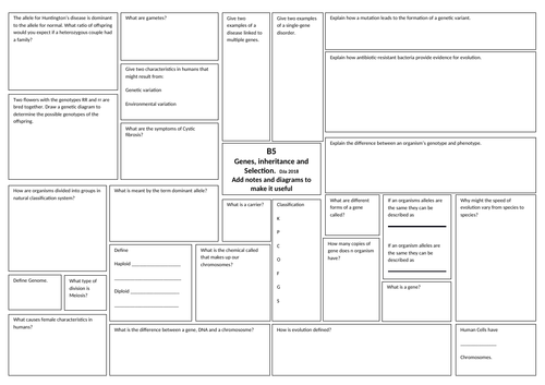 OCR Gateway 9-1 B1 B2 B3 B4 B5 B6 Revision broadsheets | Teaching Resources