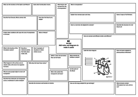 OCR Gateway 9-1 B1 B2 B3 B4 B5 B6 Revision broadsheets | Teaching Resources