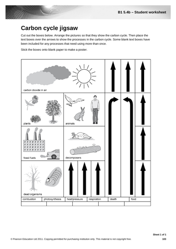NEW AQA 9-1 TRILOGY BIOLOGY UNIT 7 ECOLOGY | Teaching Resources