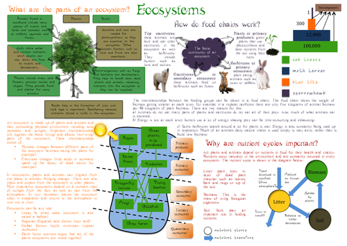 NEW AQA 9-1 TRILOGY BIOLOGY UNIT 7 ECOLOGY | Teaching Resources