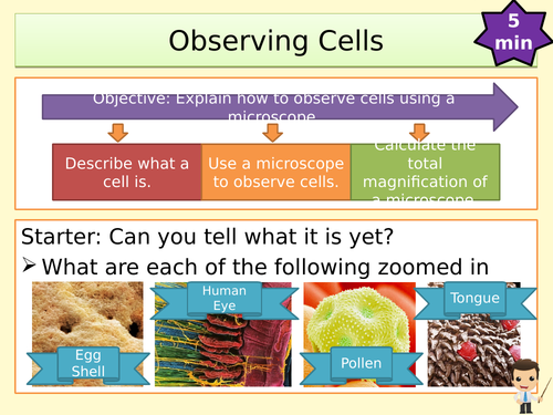 Cells: Observing Cells (KS3 Activate) | Teaching Resources