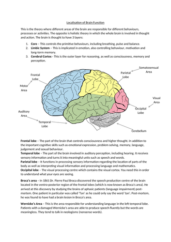 Biopsychology Revision Guide- AQA A2 Psychology | Teaching Resources