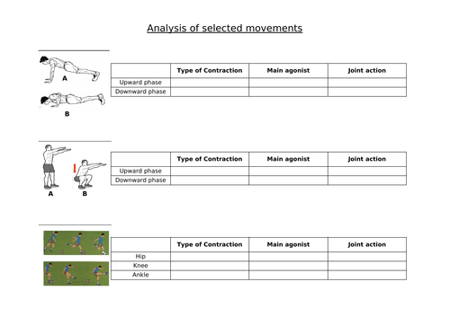 Muscles and Movement | Teaching Resources