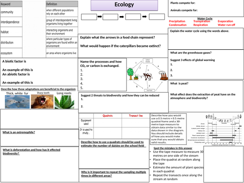 GCSE Bio (New Spec)- Ecology Revision | Teaching Resources