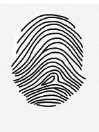 NEW CLASS/TRANSITION/END OF YEAR - ALL ABOUT ME - COMPLETE LESSON ...