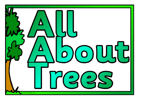 All About Trees Display Posters | Teaching Resources