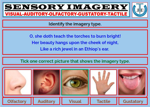 SENSORY IMAGERY: POWERPOINT PRESENTATION | Teaching Resources