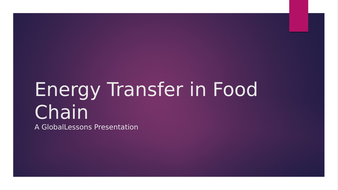 Energy Transfer In The Food Chain - FULL | Teaching Resources