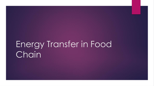Energy Transfer in the Food Chain FREE | Teaching Resources