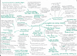 OCR Biology A-Level Revision | Teaching Resources