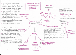 OCR Biology A-Level Revision | Teaching Resources