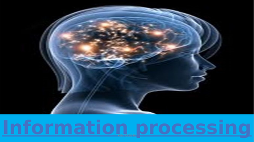 Information Processing | Teaching Resources