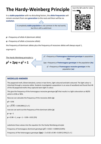 The Hardy-Weinberg Principle | Teaching Resources