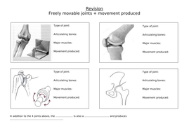 GCSE PE Revision - Bones and Muscles | Teaching Resources