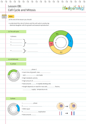 SNAB Biology Topic 3 - Lesson 08 (Cell Cycle and Mitosis) - WS and PPT ...
