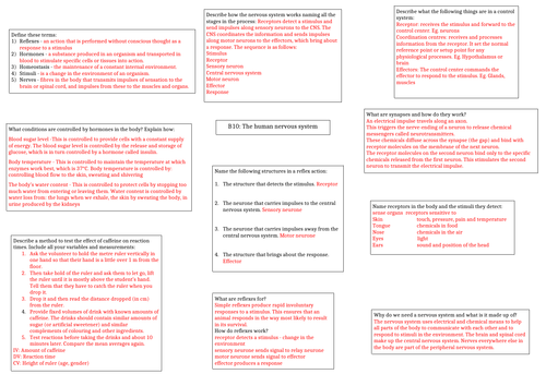 AQA Nervous system answer sheet | Teaching Resources